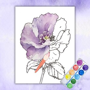 Purple Flower Outline Drawings for Painting, Watercolor Drawing ...