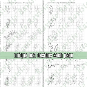 Drawing Sheets Bundle, Learn How to Draw Flowers, Leaves, Butterfly ...