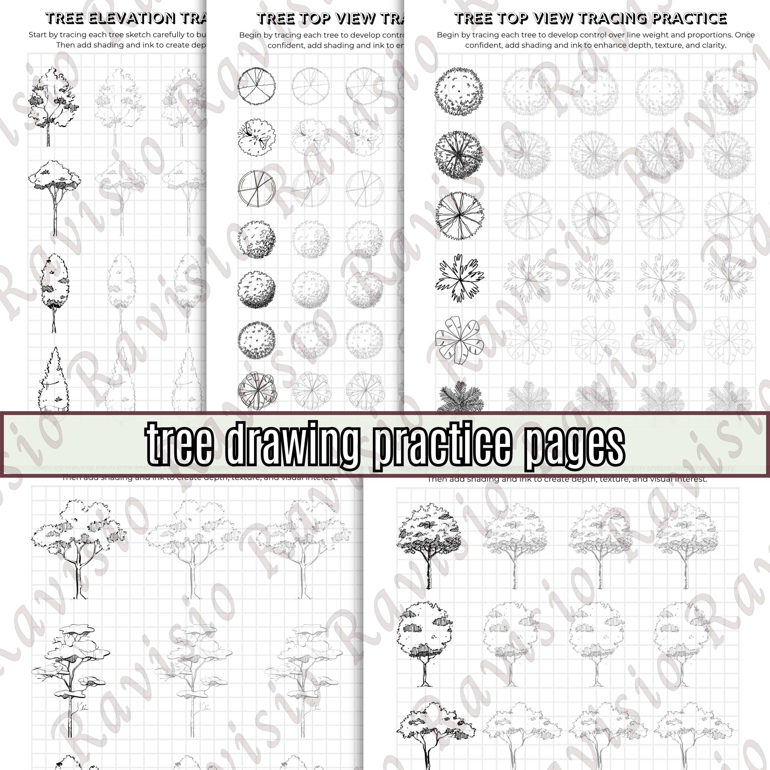 Architectural Drawing Practice Worksheets, Sketch Drawing Tutorial ...