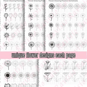 Drawing Sheets Bundle, Learn How to Draw Flowers, Leaves, Butterfly ...