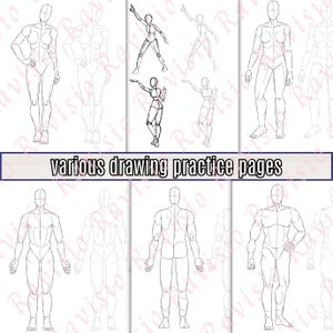 Drawing Sheets Bundle, Learn How to Draw Flowers, Leaves, Butterfly ...