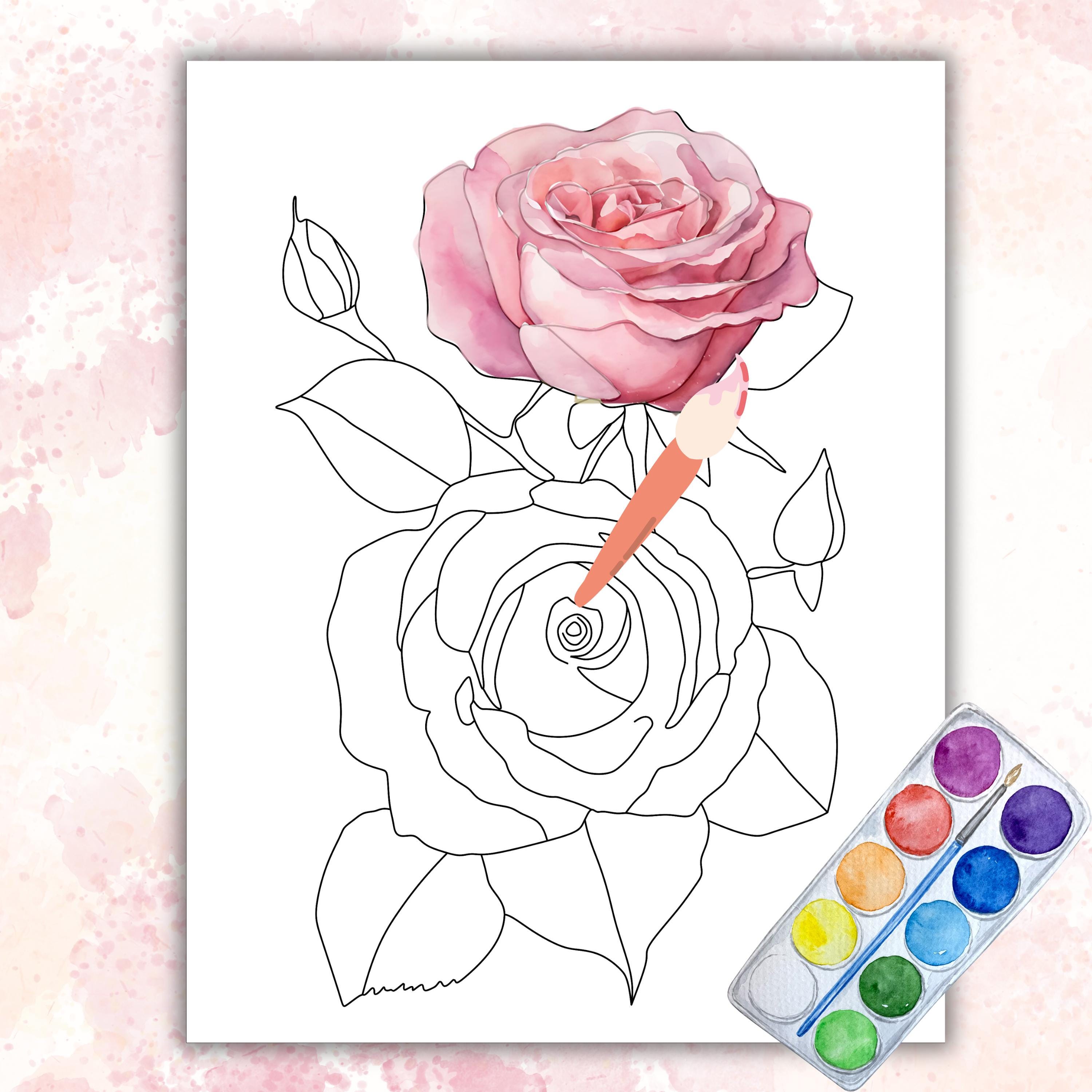 Dibujos de rosas para pintar, dibujos de acuarela, dibujos para ...