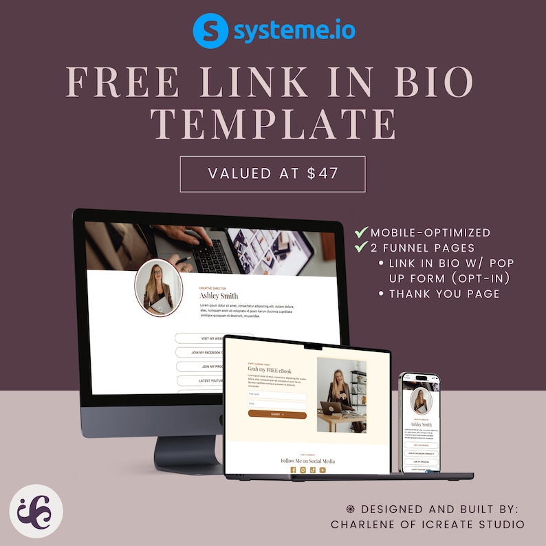 Systeme.io Template Ebook or Digital Product Sales Funnel for Coaches ...