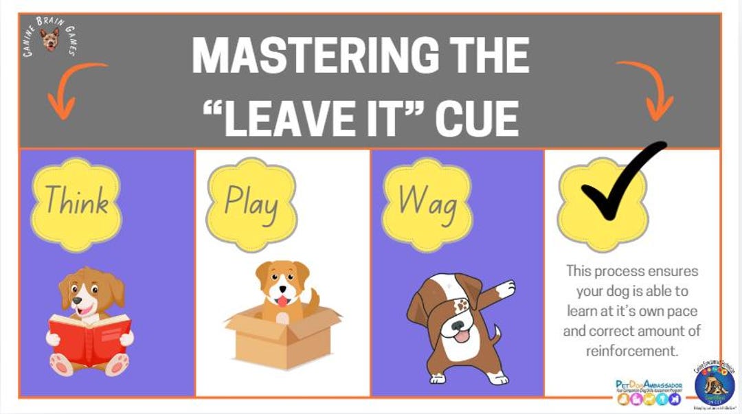 Teach Your Dog the Leave It Cue the Fun Way | On-demand Dog Training ...