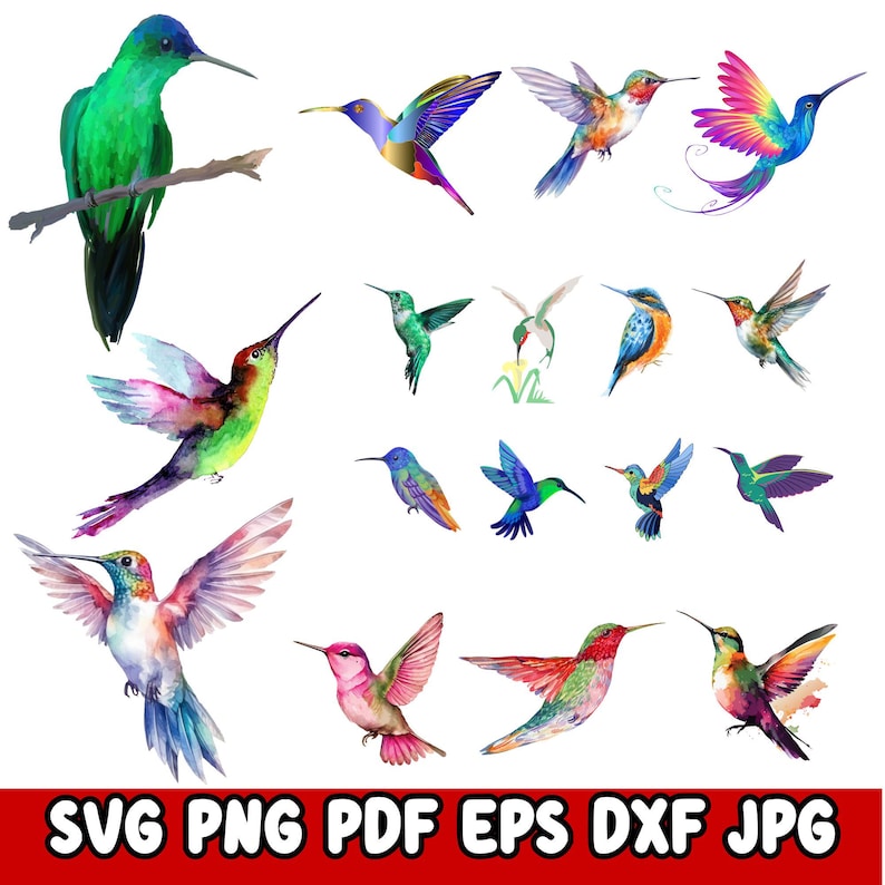 Hummingbird SVG, Hummingbird Bundle Svg, Hummingbird Clipart ...