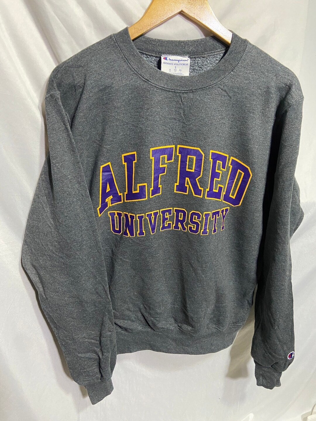 Vintage 90s Alfred University X Champion Sweatshirt Size S - Etsy