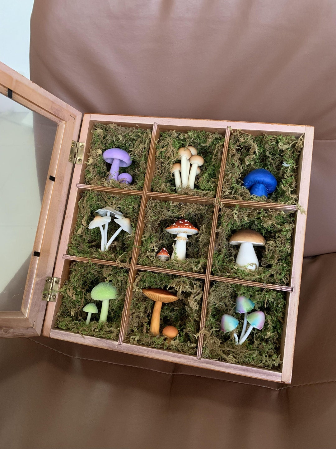 Handmade Cute Mushrooms Growing in Wooden Boxes | Clay Mushroom ...