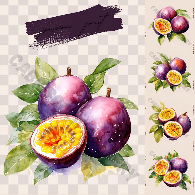 Watercolor Passion Fruit Clipart, 30 High Resolution PNG, Coconut ...
