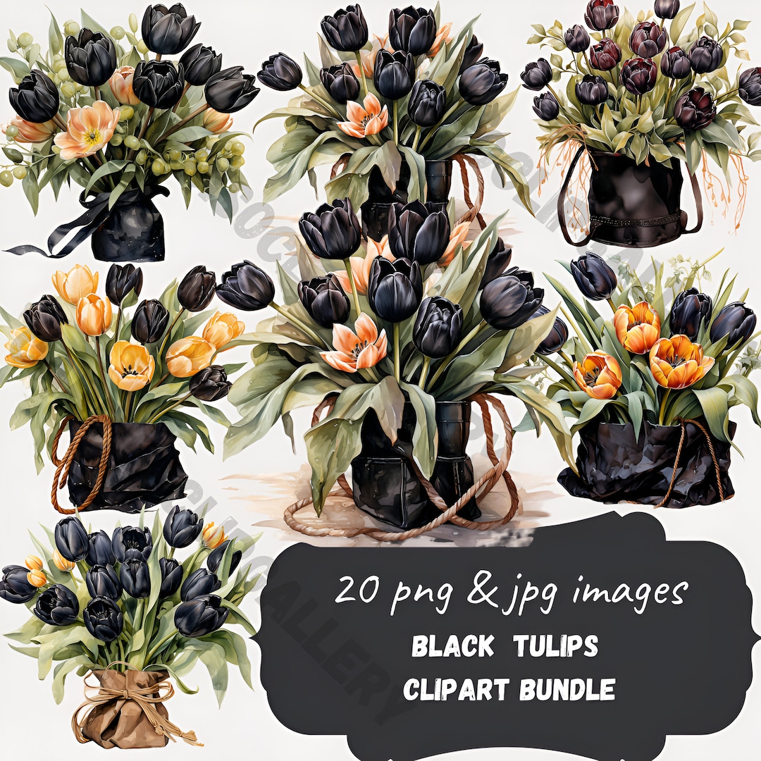 Watercolor Black Tulips Clipart | Flower Bundle (commercial License) - Etsy