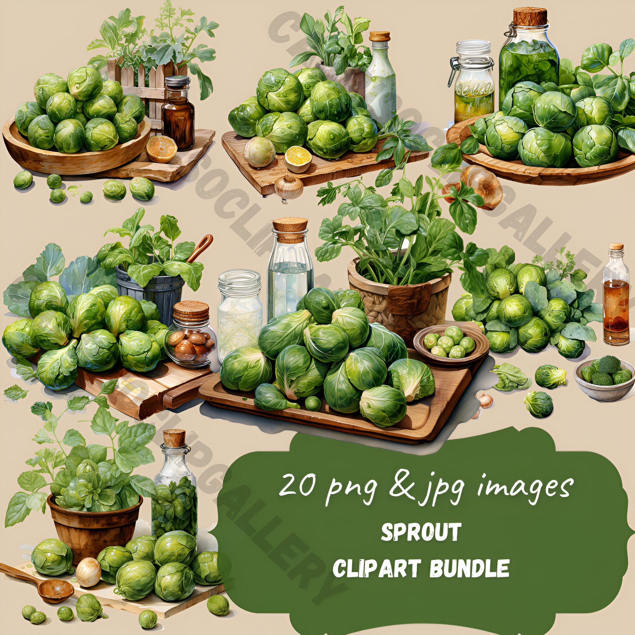 Watercolor Healthy Food Clipart, 20 High Resolution PNG, Ingredients ...