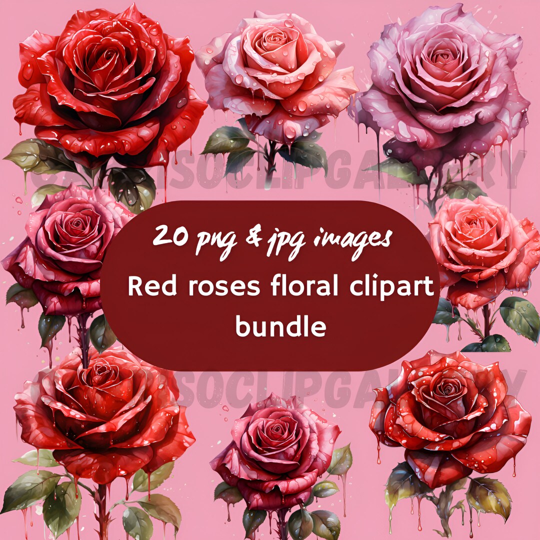 Watercolor Red Roses Clipart Bundle 10 Transparent Png & 10 Jpg Images ...