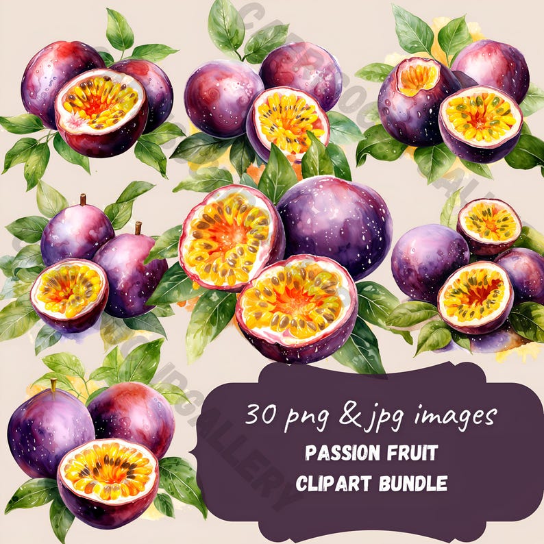 Watercolor Passion Fruit Clipart, 30 High Resolution PNG, Coconut ...