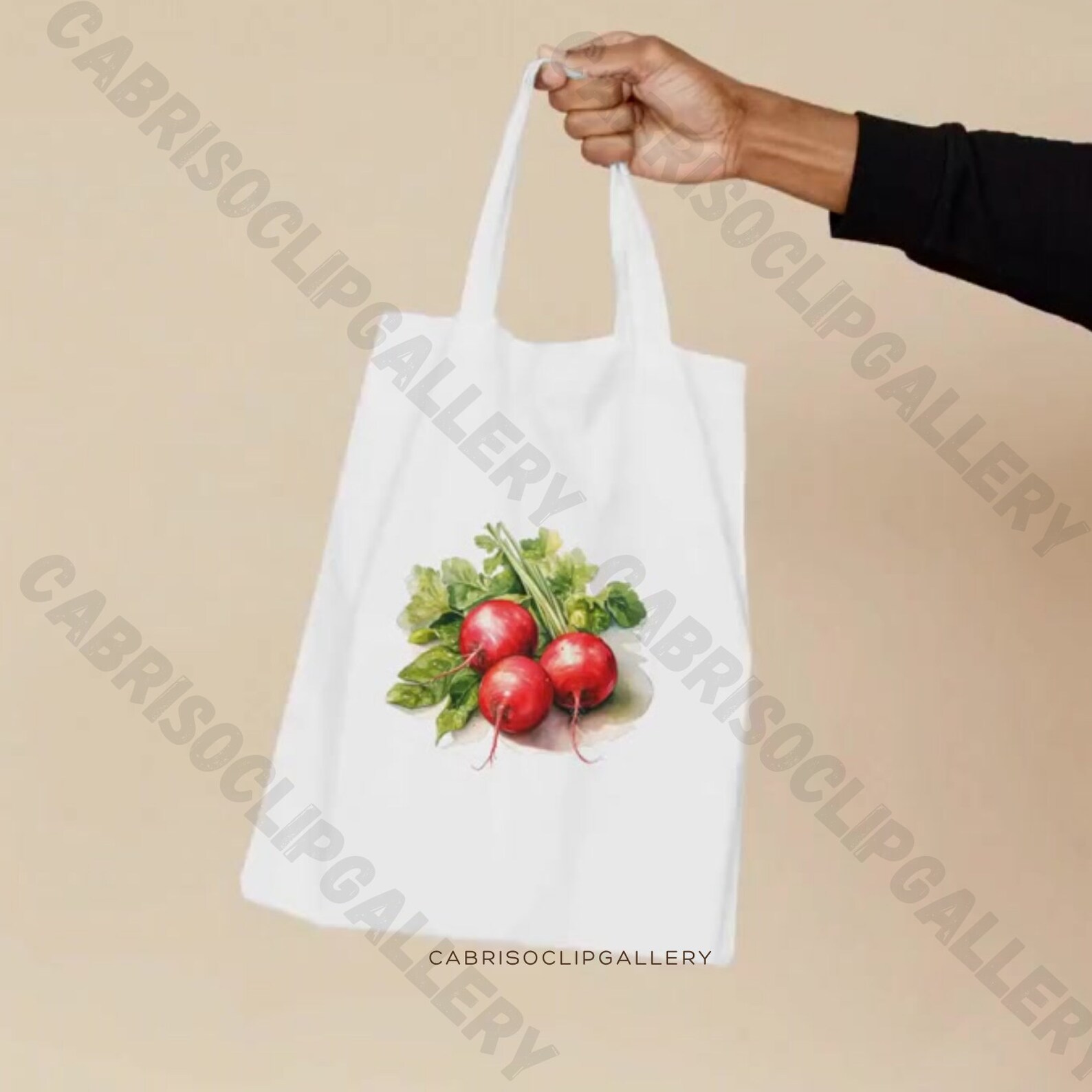 Watercolor Radish Clipart, 20 High Resolution PNG, Radish Clipart ...