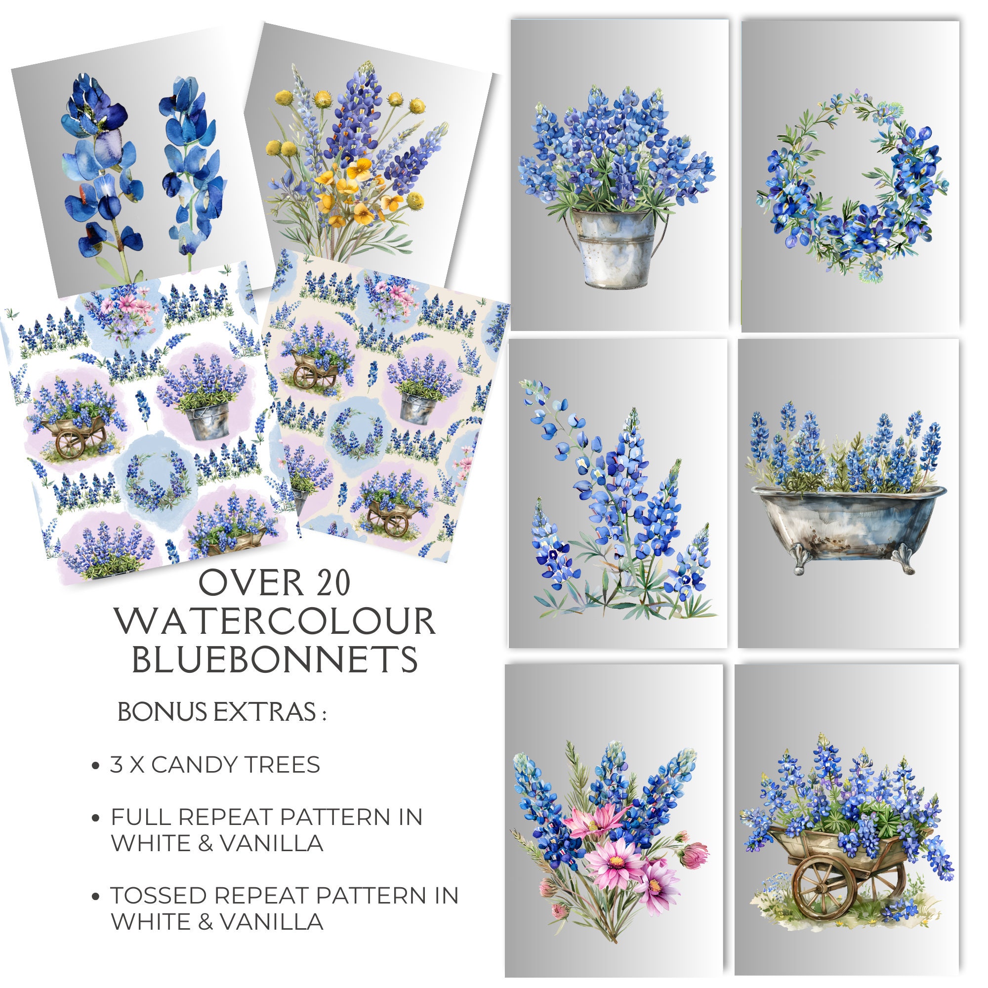 Bluebonnets PNG Watercolour Clipart Bundle Bluebonnets Repeat Patterns ...