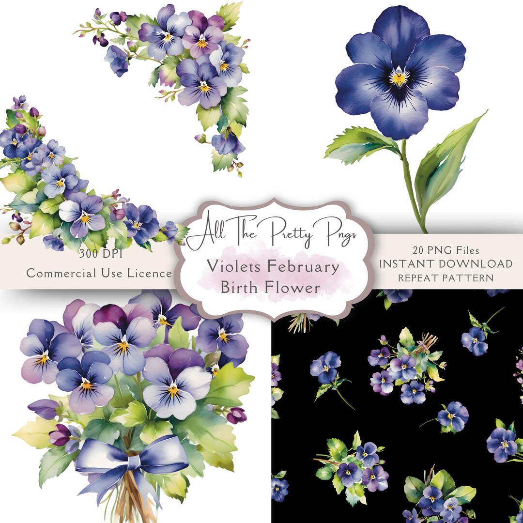Violets Birth Month Flower February Pngs Watercolour Clipart Bundle ...
