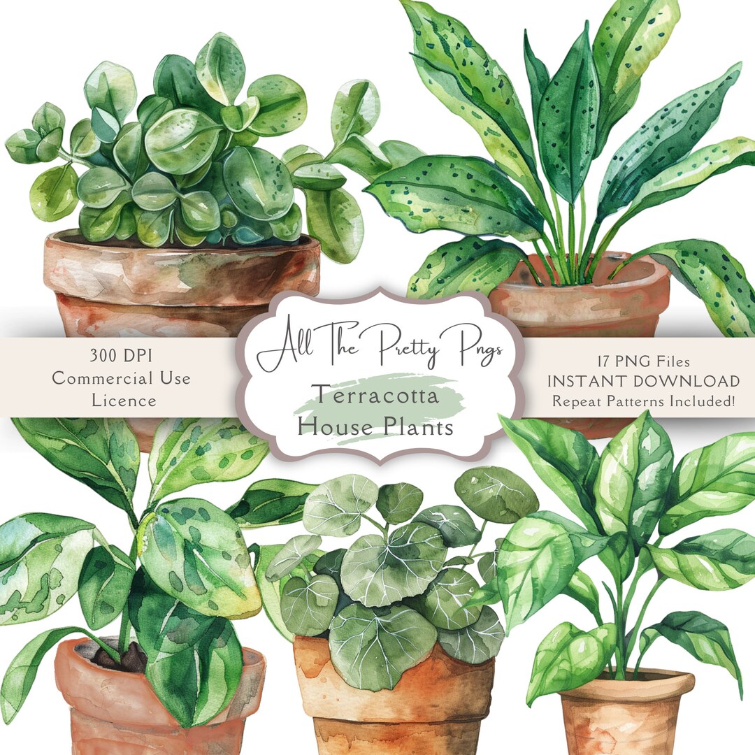 Watercolour Terracotta House Plants Clipart Bundle Pot Plants Repeat ...