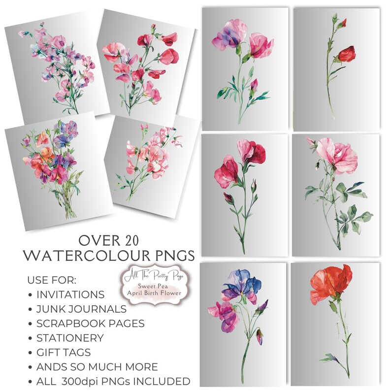 Birth Month Flower April Sweet Pea Pngs Watercolour Birth Flower Sweet ...