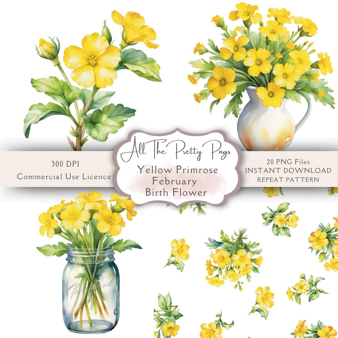 Birth Month Flower February Yellow Primrose Pngs Watercolour Clipart ...