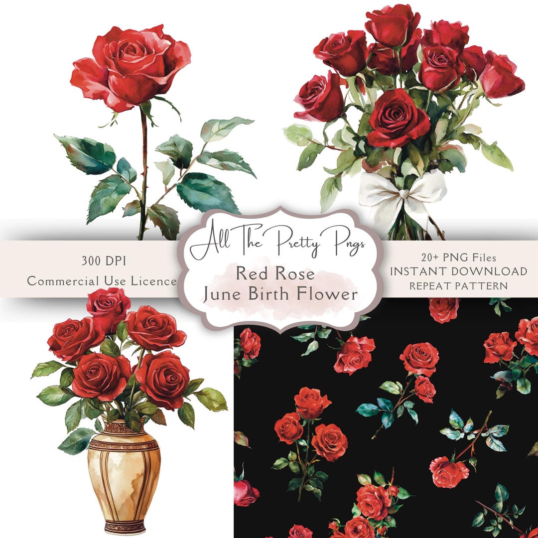 Birth Month Flower June Red Rose Pngs Watercolour Birth Flower Red ...