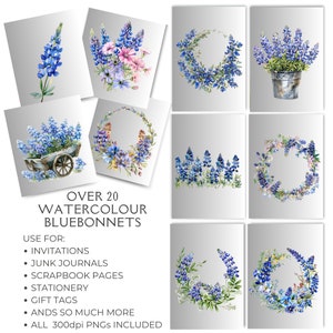 Bluebonnets PNG Watercolour Clipart Bundle Bluebonnets Repeat Patterns ...