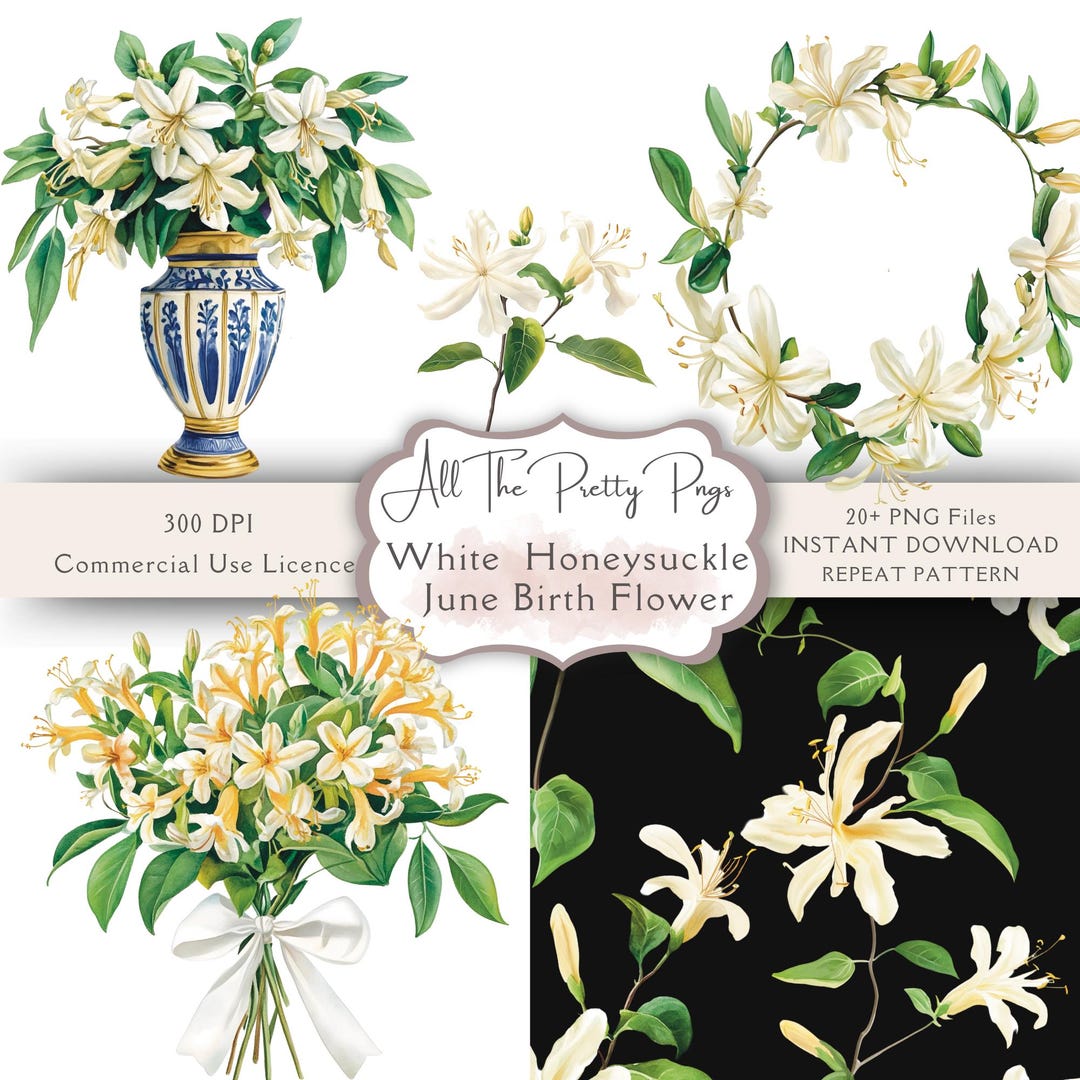 Birth Month Flower June White Honeysuckle Pngs Watercolour Birth Flower ...