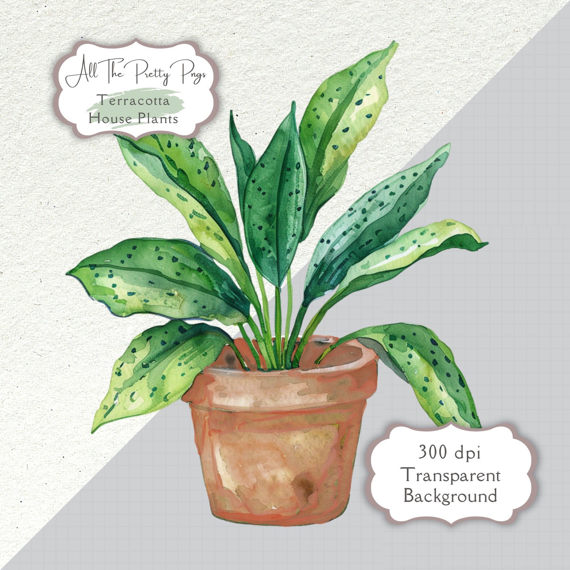 Watercolour Terracotta House Plants Clipart Bundle Pot Plants Repeat ...