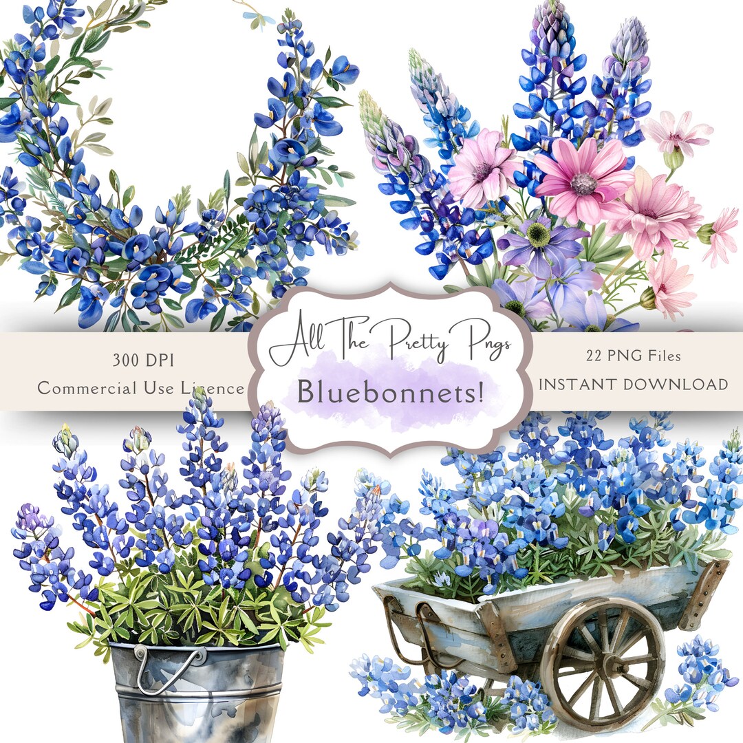 Bluebonnets PNG Watercolour Clipart Bundle Bluebonnets Repeat Patterns ...