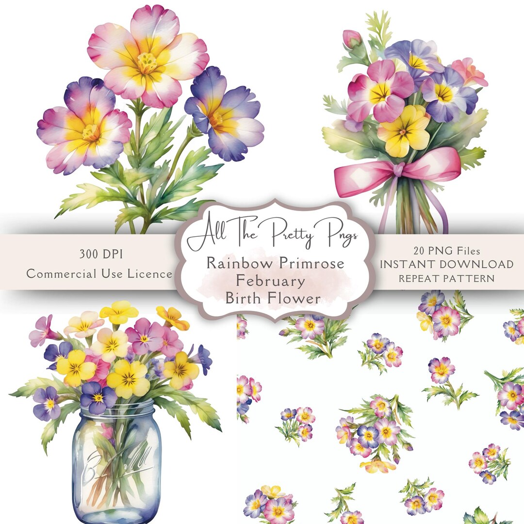 Birth Month Flower February Rainbow Primrose Pngs Watercolour Clipart ...