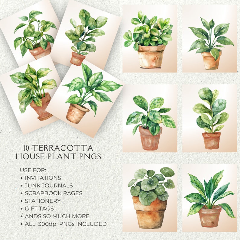 Watercolour Terracotta House Plants Clipart Bundle Pot Plants Repeat ...