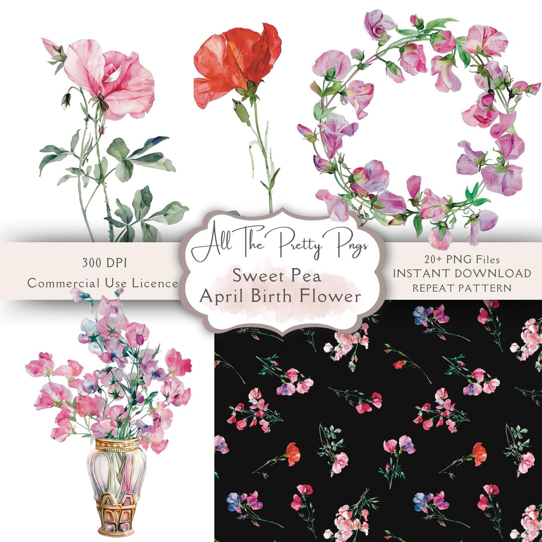 Birth Month Flower April Sweet Pea Pngs Watercolour Birth Flower Sweet ...