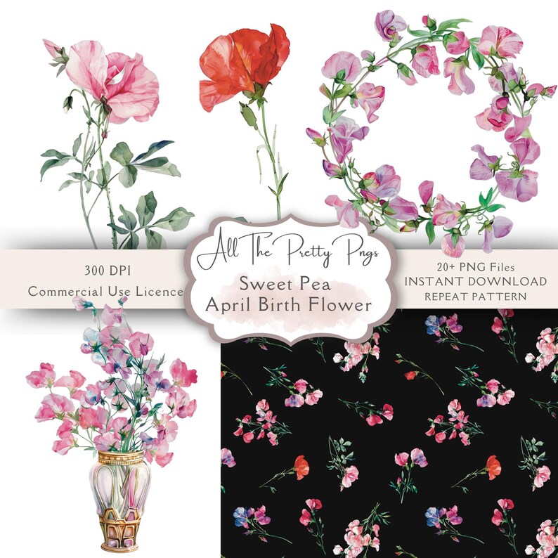 Birth Month Flower April Sweet Pea Pngs Watercolour Birth Flower Sweet ...