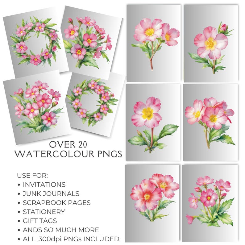 Birth Month Flower February Pink Primrose Pngs Watercolour Clipart ...