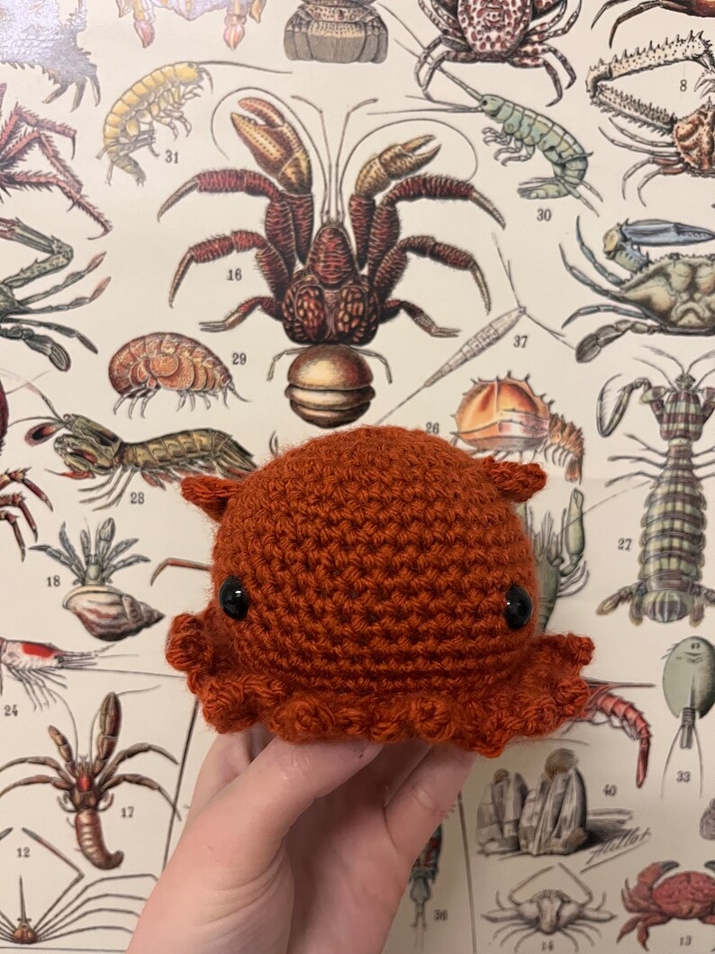 Dumbo Octopus Crochet Stuffed Toy - Etsy