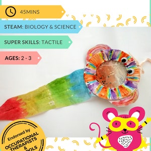 Squishy Stingray Kit - Etsy