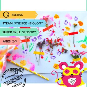 Flower Garden Kit - Etsy