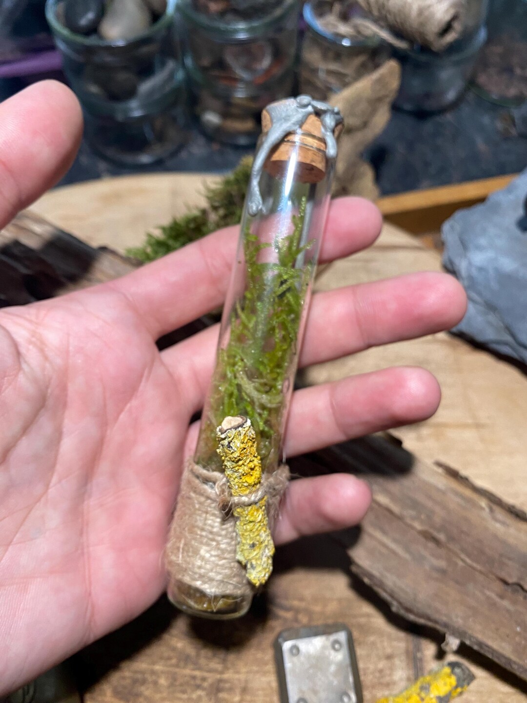 Beautiful Micro-terrarium, Self-sufficient Ecosystem Lucky Charm ...