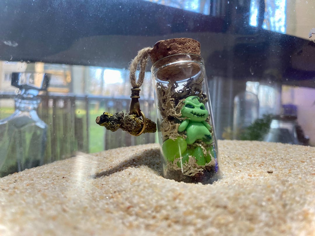 Micro-terrarium Collection "sds Pourri" Handmade. Original and Unique ...