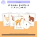 Spanish Animal Flashcards Bilingual Homeschooling Resources educational ...