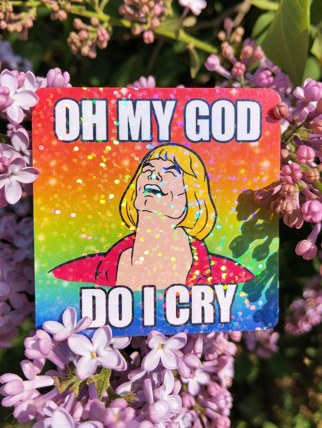 He-man OMG Do I Cry Glitter Sticker Meme - Etsy