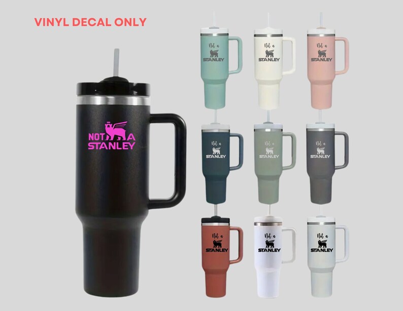 Not a Stanley Decal, Yelnats Sticker, Stanley Inspired Vinyl Decal - Etsy