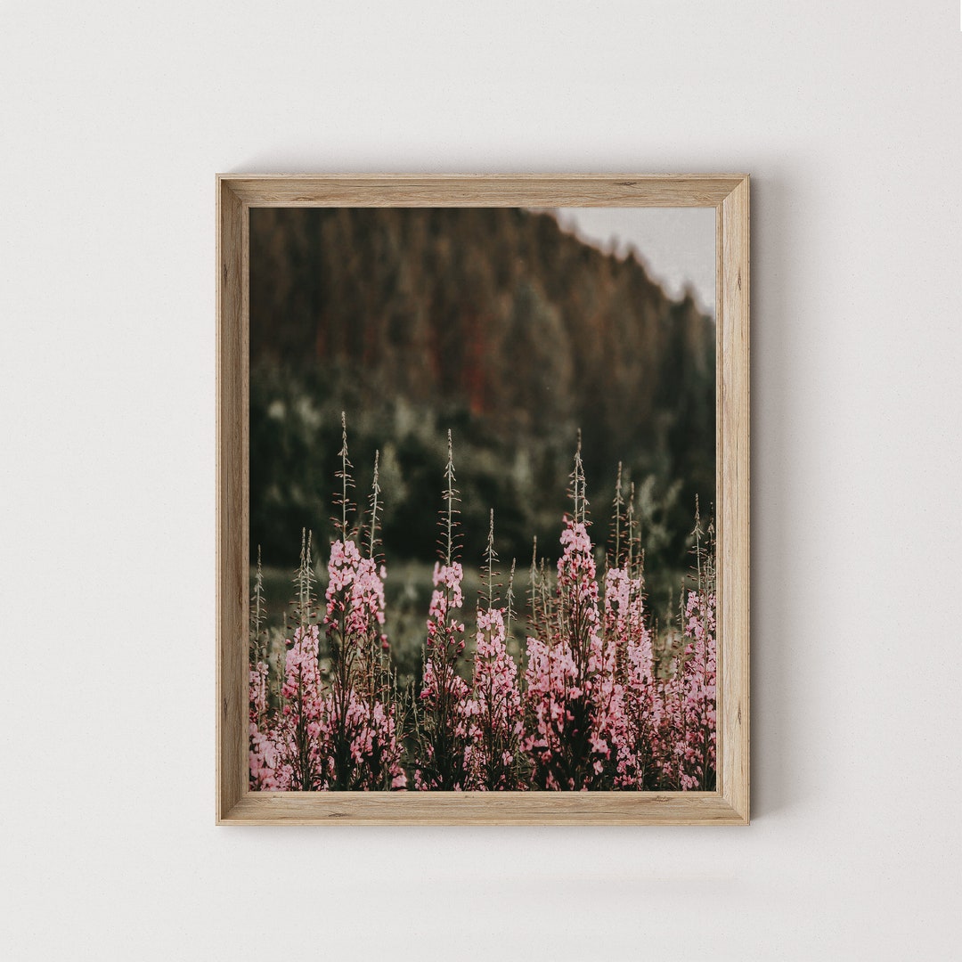 Pink Wildflowers in Forest, Nature Photography, Wild Plant Life ...