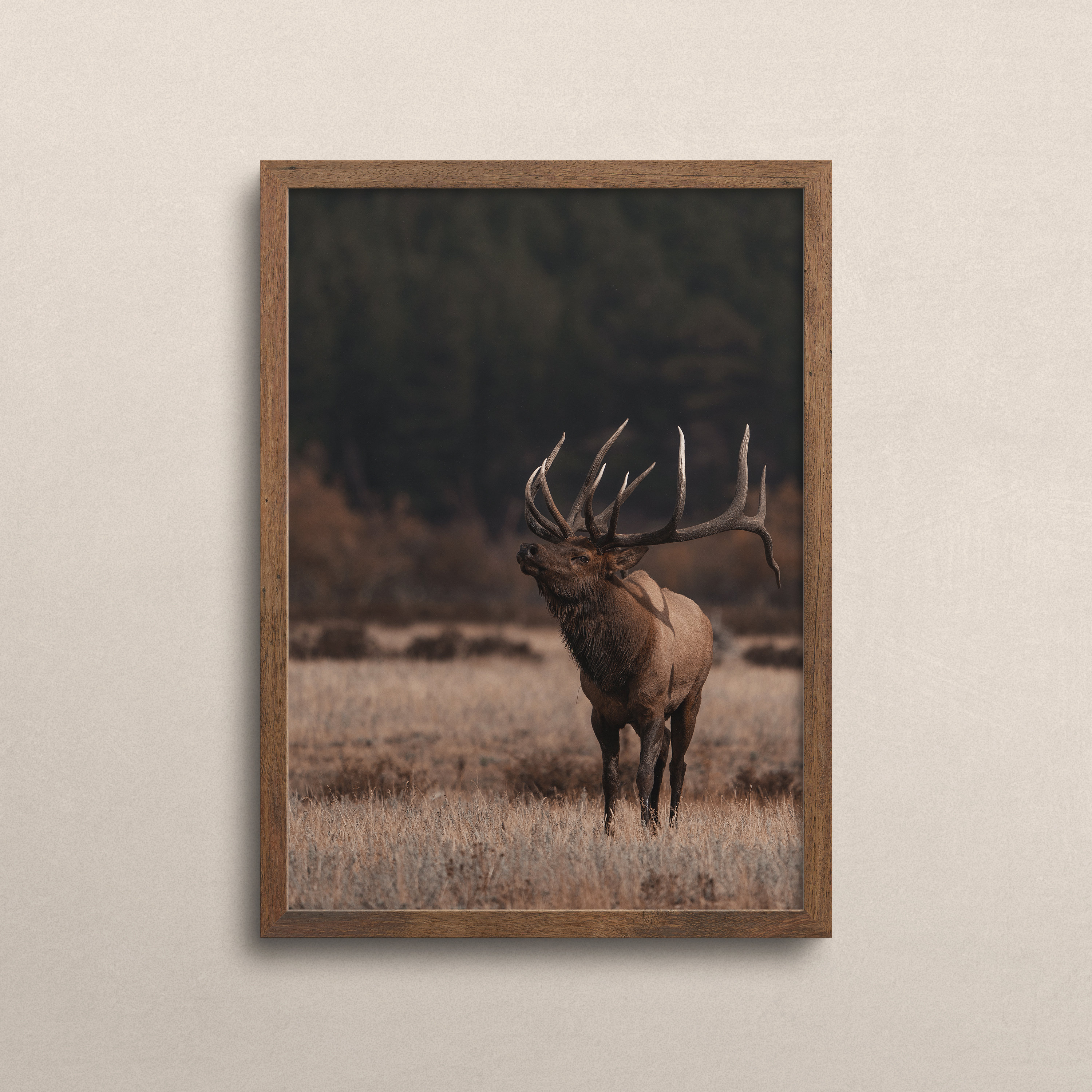 Western Elk Poster, Bull Elk Wall Art, Rustic Nature Print, Wildlife ...