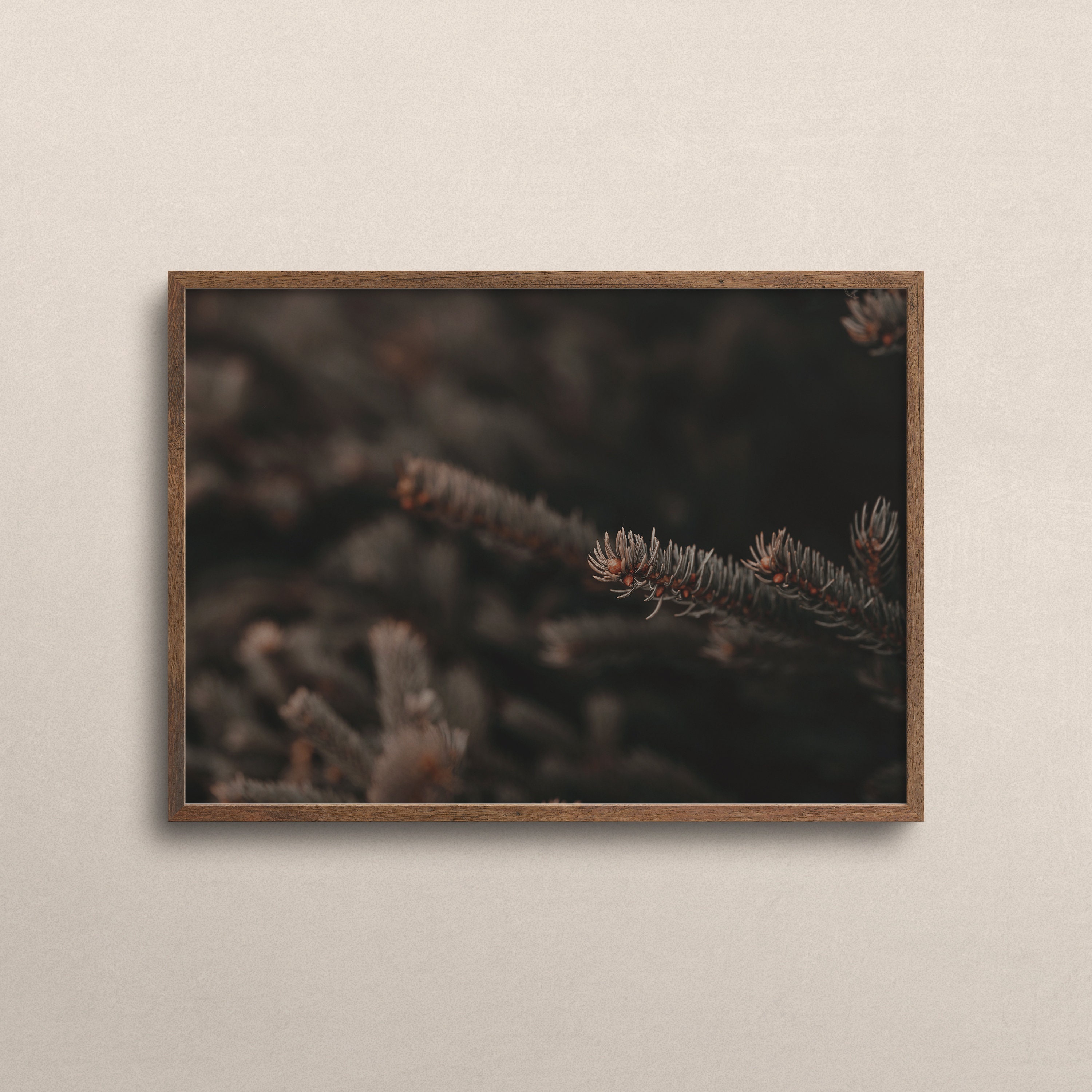 Pine Tree Branch Poster, Printable Nature Art, Moody Rustic Photography ...