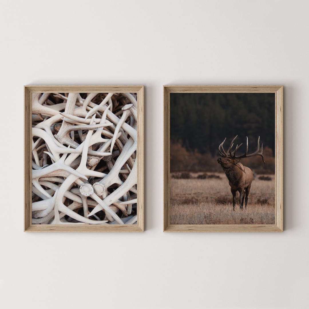 Rustic Elk Print Set, Western Home Decor, Elk Antler Poster, Printable ...