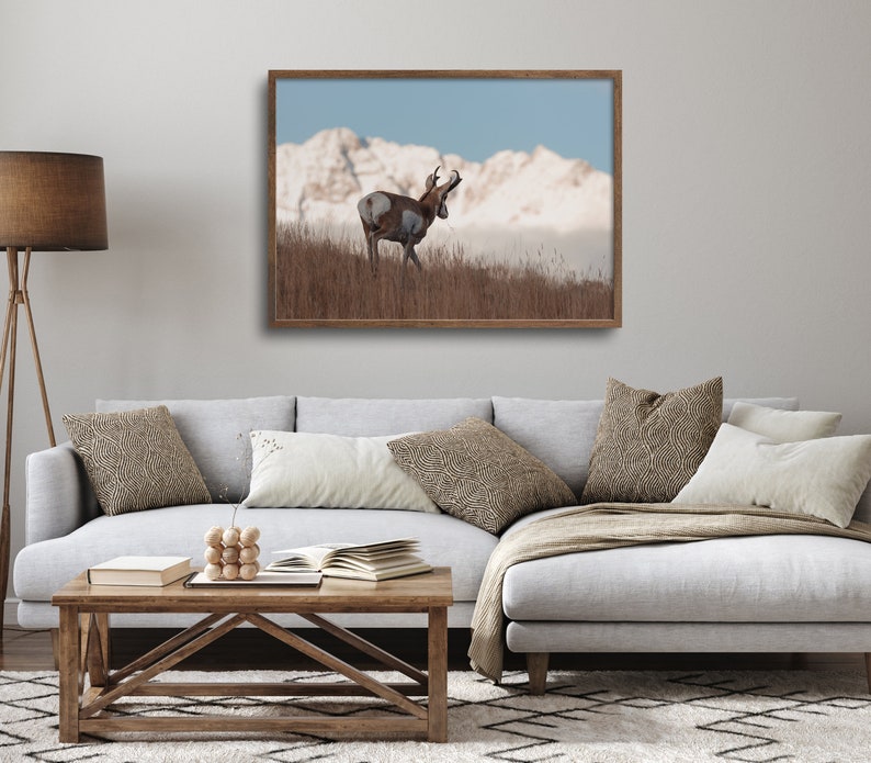 Western Antelope Wall Art, Rustic Home Decor, Pronghorn Grazing on ...