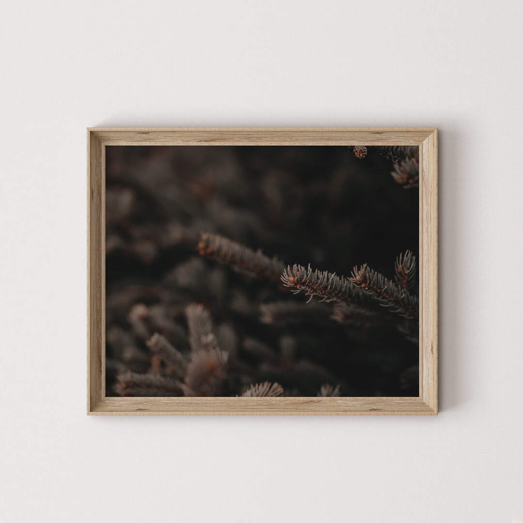 Pine Tree Branch Poster, Printable Nature Art, Moody Rustic Photography ...