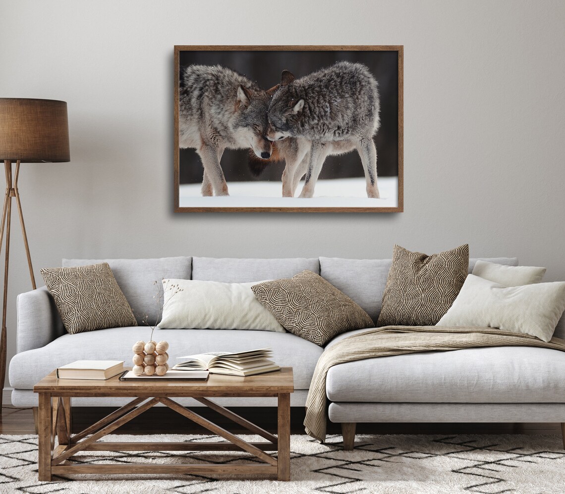 Two Wolves Playing Wall Art, Pack Camaraderie, Timber Wolf Poster ...