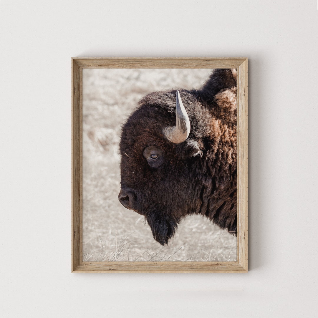 Western Bison Poster, American Buffalo Printable, Bison Profile, Ranch ...