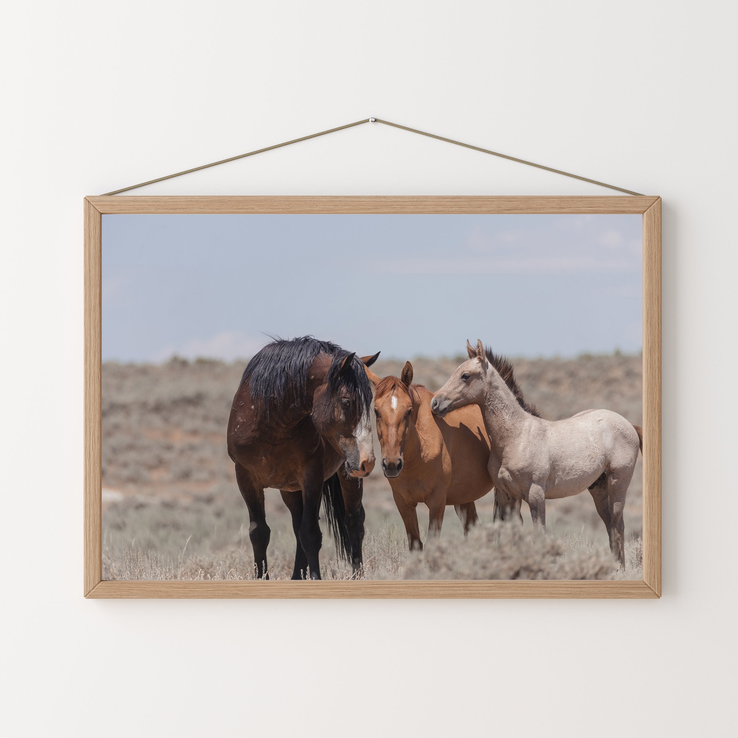 Family of Wild Horses, Utah Wild Horse Photo, Wilderness Poster, High ...