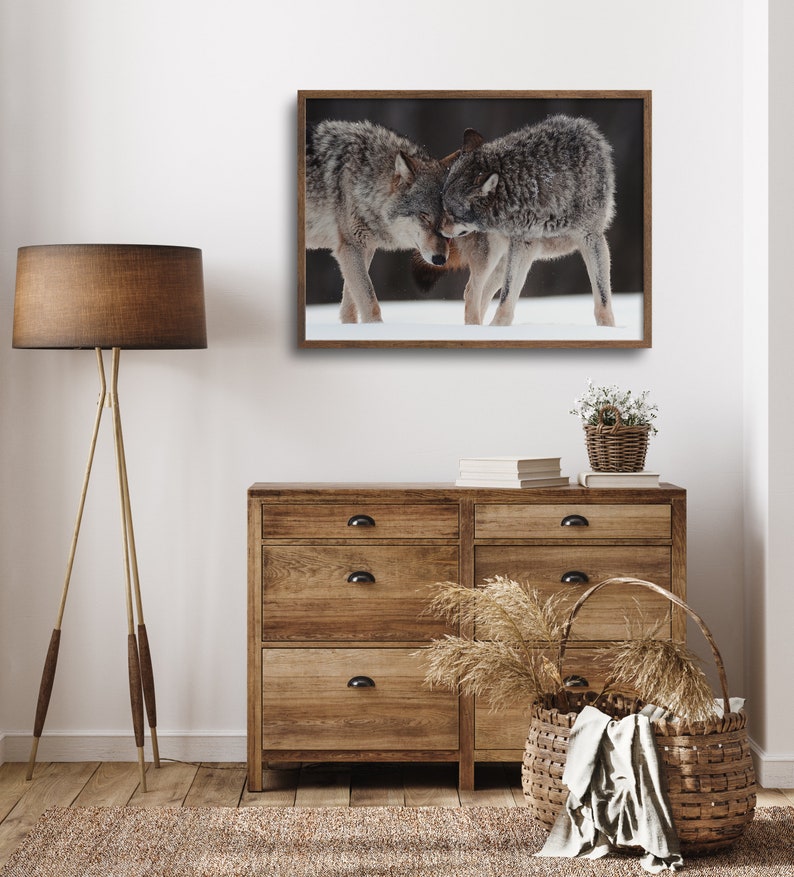 Two Wolves Playing Wall Art, Pack Camaraderie, Timber Wolf Poster ...